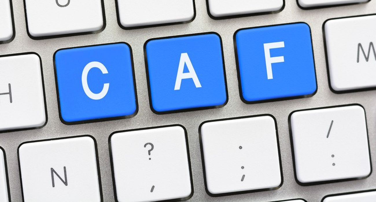 Come aprire un CAF: guida completa - PMI.it