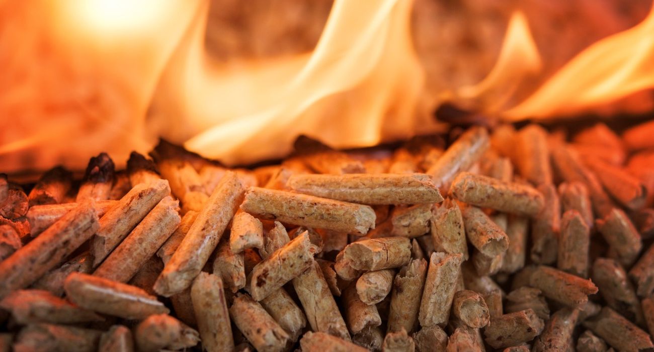 Prezzo del pellet: ecco quale e quando conviene comprare - PMI.it