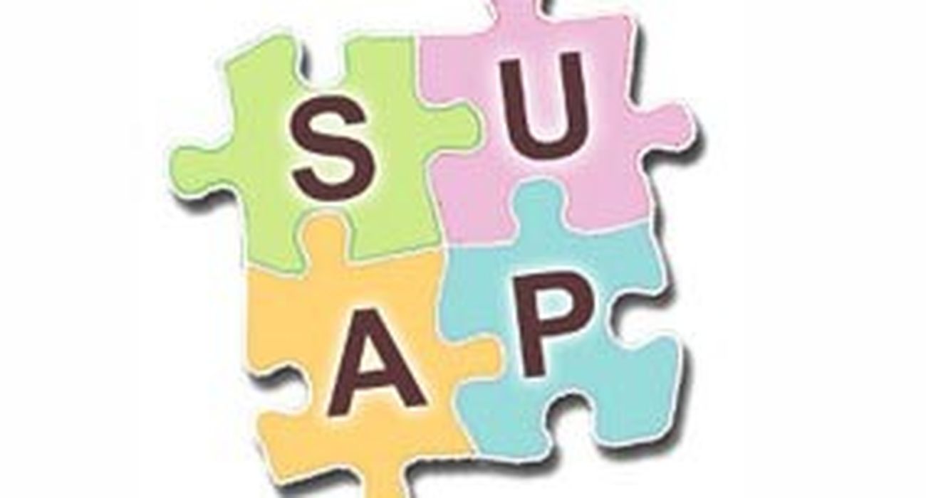 SUAP online inefficaci: indagine ministeriale - PMI.it